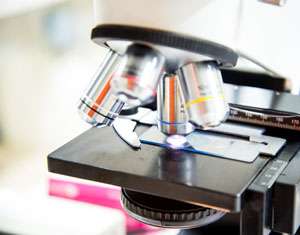 Courses | Forensic Science Graduate Program